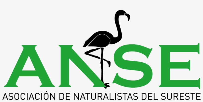 Consultation Responses Or Further Campaigning Activities - 1000x454 PNG ...