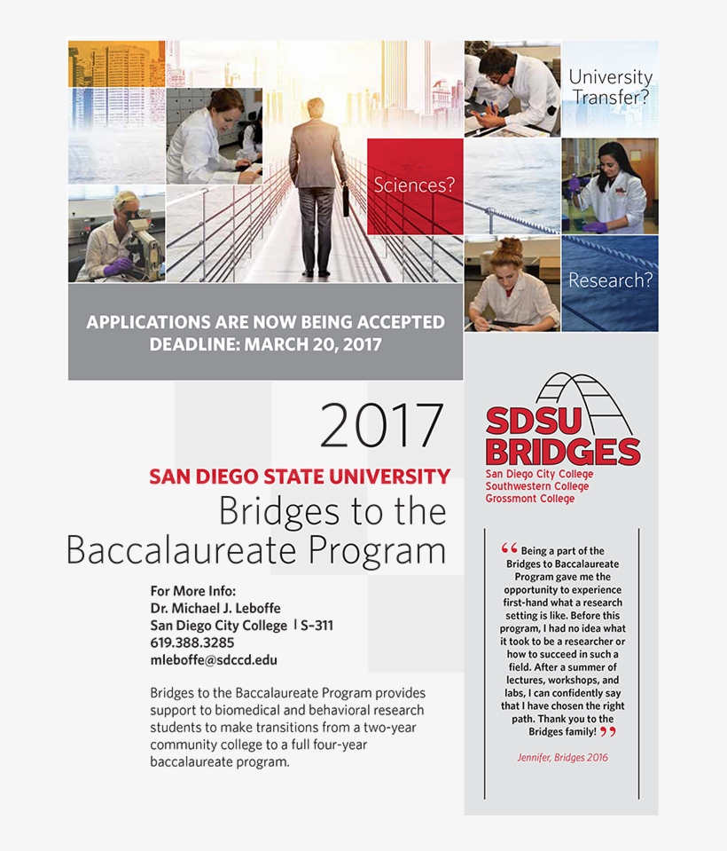 Sdsu / City College Bridges To The Baccalaureate Program - Flyer ...