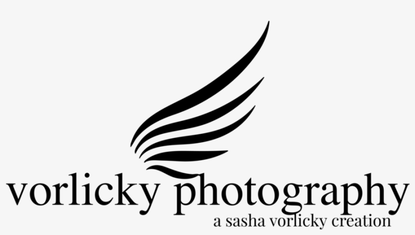 Creation Logo Png - 1000x570 PNG Download - PNGkit