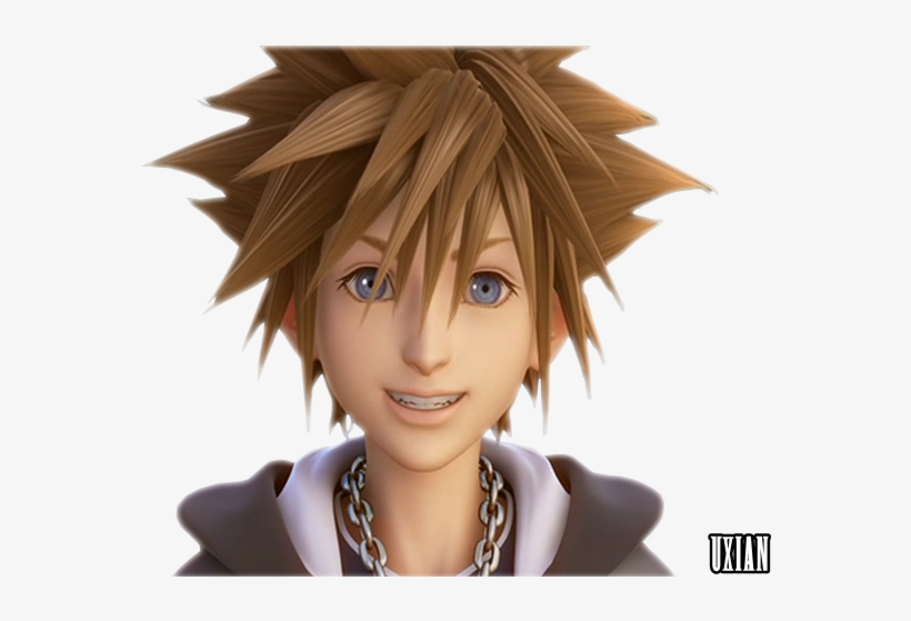 Sora Kingdom Hearts Hair - 640x478 PNG Download - PNGkit