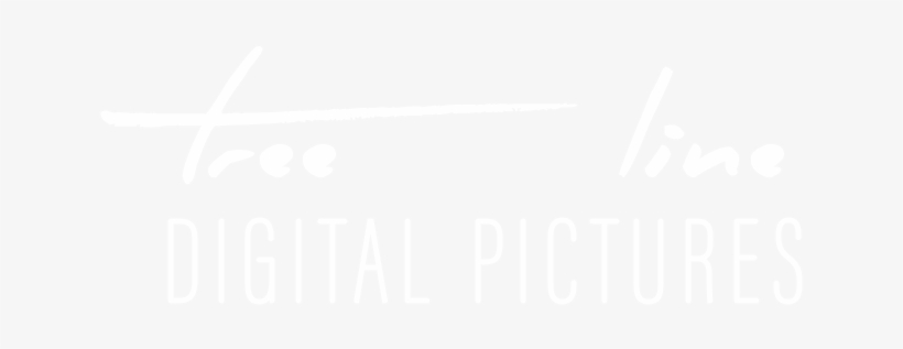 Treeline Png - 798x450 PNG Download - PNGkit