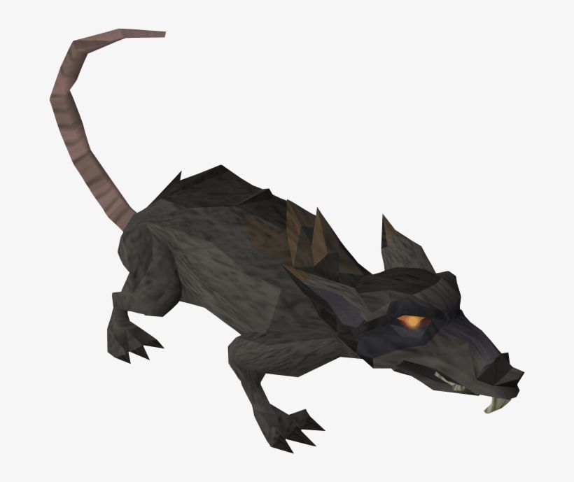 Runescape Rat - 680x609 PNG Download - PNGkit