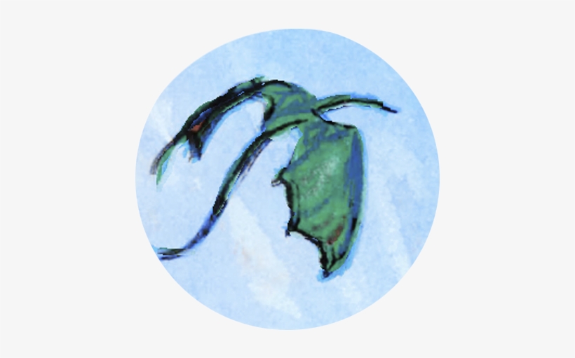 The Mystic Krewe Of Barkus Royal Ball For One Guest - Krewe Of Barkus ...