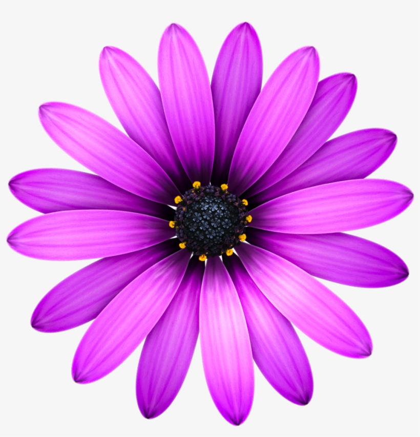 Description Textmateicon - Textmate Icon - 1024x1024 PNG Download - PNGkit