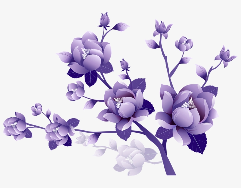 Purple Flowers Transparent Background - 800x562 PNG Download - PNGkit