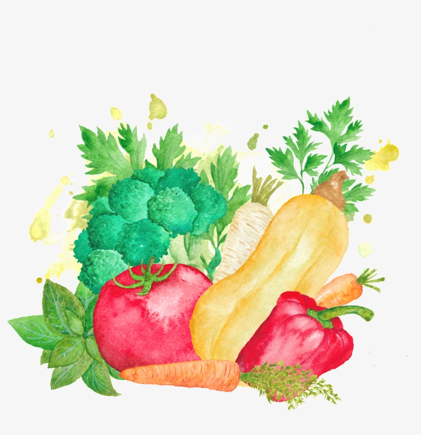 Colorful Hand Drawn Cartoon Vegetable Kitchen Transparent - Carolines ...