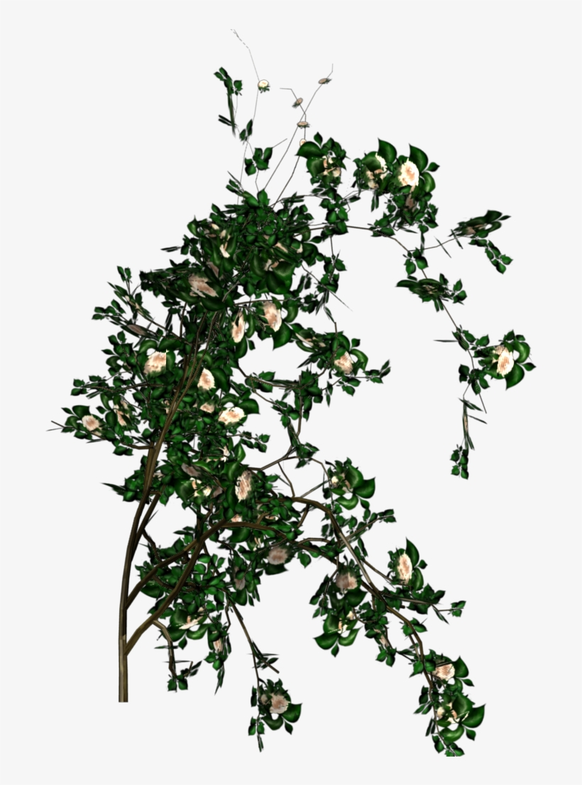 Rose - Roses Tree Png - 868x1024 PNG Download - PNGkit