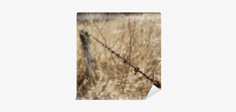 Twig - 400x400 PNG Download - PNGkit