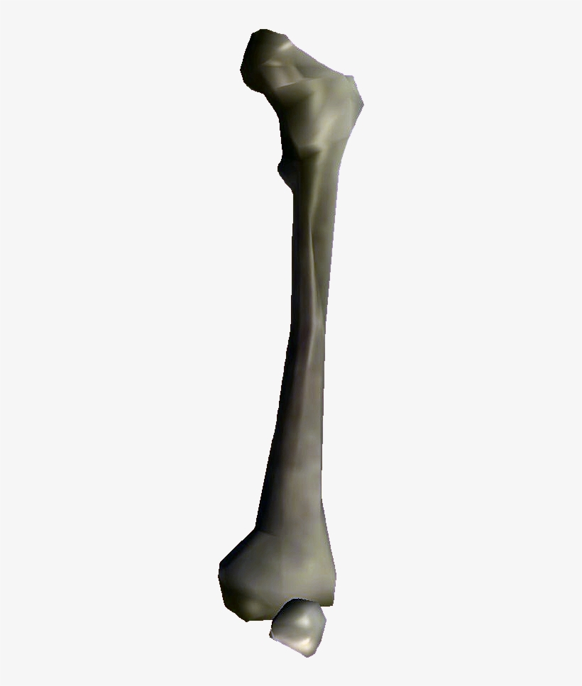 Bones Big Bone - Bones Png - 448x928 PNG Download - PNGkit