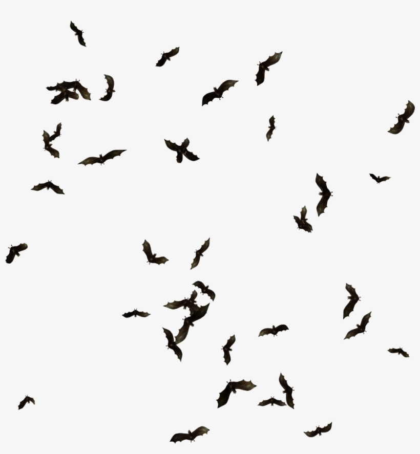 Bat Swarm Png - Swarm Of Bats Png - 1000x1034 PNG Download - PNGkit