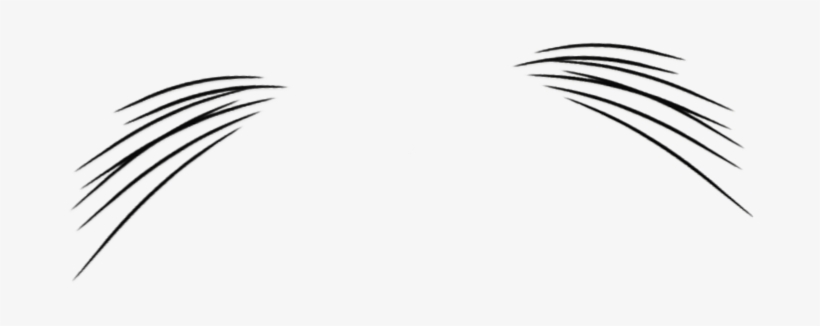 Download Transparent Black - White Cat Whiskers Png - PNGkit