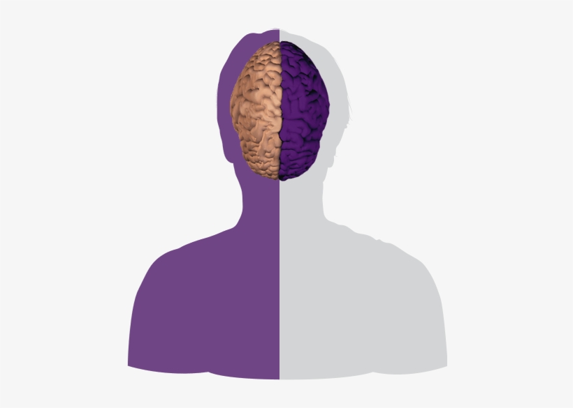Download Transparent Left Brain/right Brain - Illustration - PNGkit