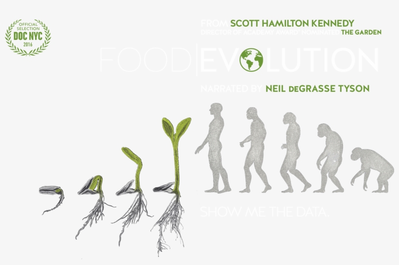 Evolution Food - 1516x937 PNG Download - PNGkit