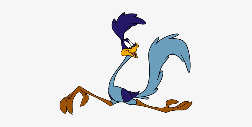 Roadrunner3 - Road Runner Cartoon - 432x333 PNG Download - PNGkit