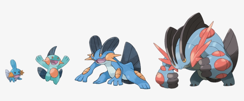 Swampert Evolution