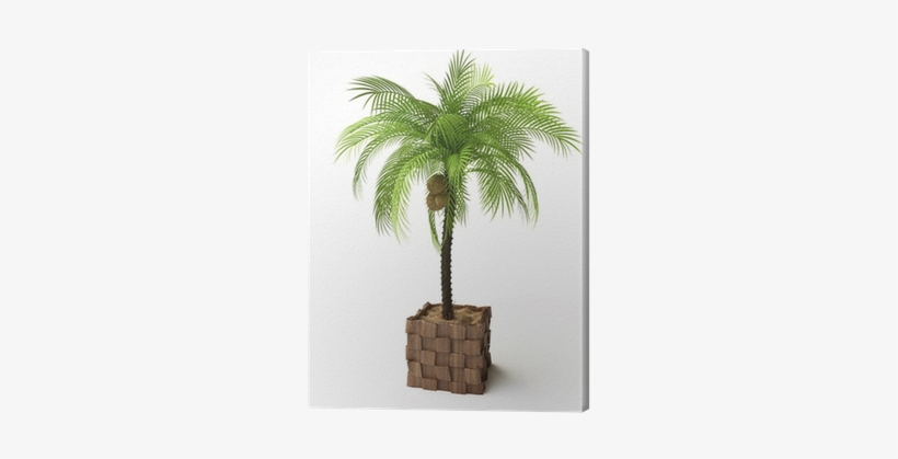 Palm Trees - 400x400 PNG Download - PNGkit