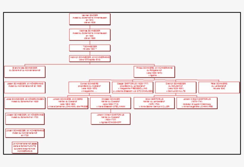 The First Sartorius - Diagram - 801x481 PNG Download - PNGkit