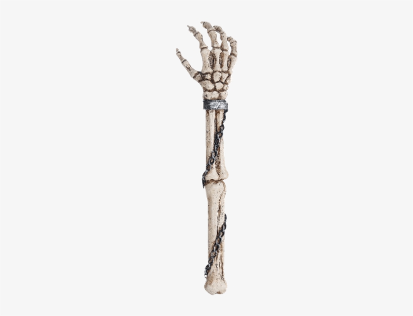 Skeleton Arm Png Jpg Library Stock - Pacific Giftware Skeleton - Back ...