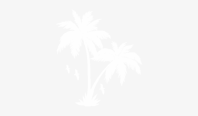 Download Transparent Collection Of Free Transparent White Palm Tree ...
