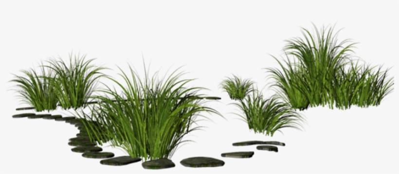 Download Transparent Scnature Green Greengrass Grass Stone Stonepath ...