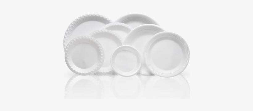 All Plastic Plate Png - 450x279 PNG Download - PNGkit