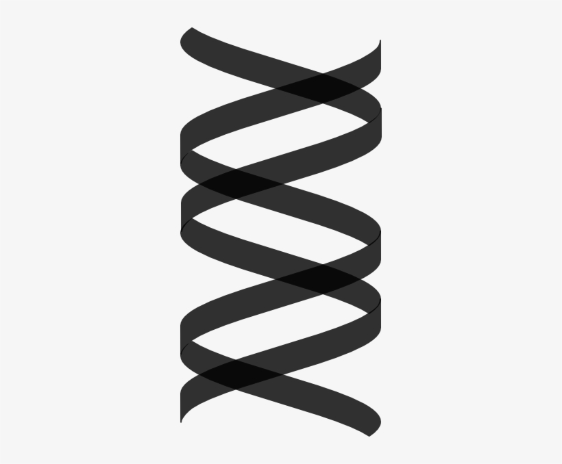 Vertical Double Helix Black - Dna Helix Vertical - 294x598 PNG Download ...