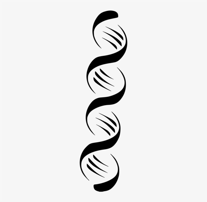 Nucleic Acid Double Helix A-dna Computer Icons - Double Helix Dna ...