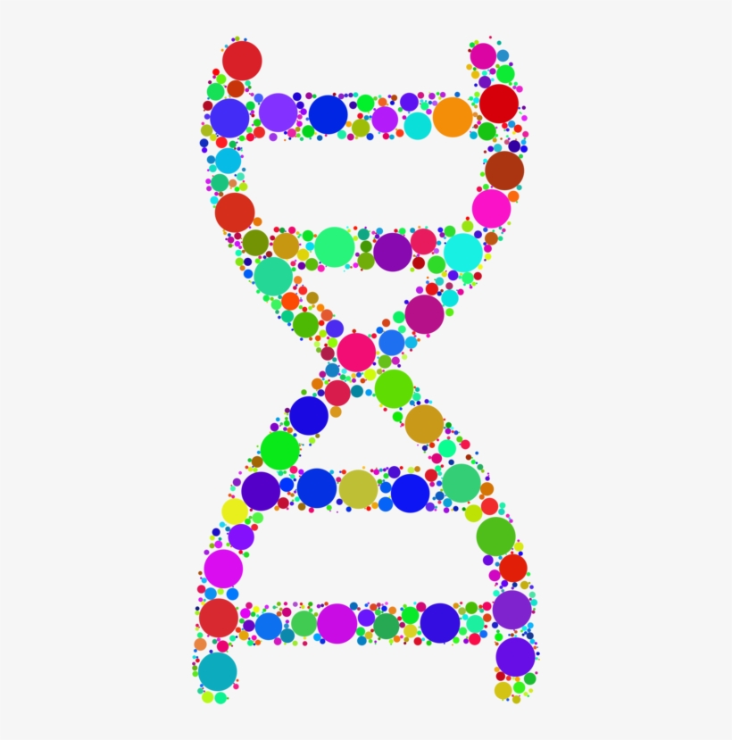 Nucleic Acid Double Helix Dna Circle Line - Dna - 390x749 PNG Download ...