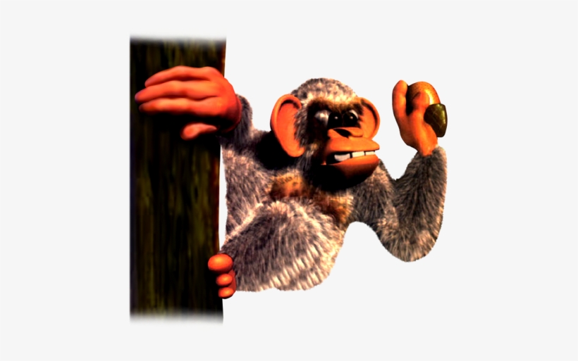 Diddy Kong And Dixie Kong Costume - Donkey Kong 3 Country Minkey ...