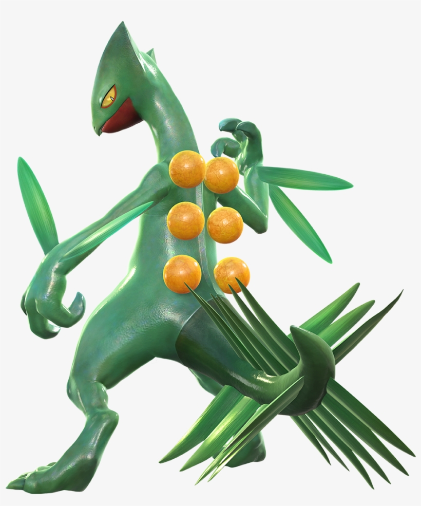 Sceptile Pokken Png - 520x599 PNG Download - PNGkit