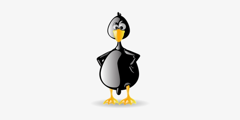 Penguin Tux Animal Bird Black Beak Zoo Lin - Linux Tux Penguin Animated ...