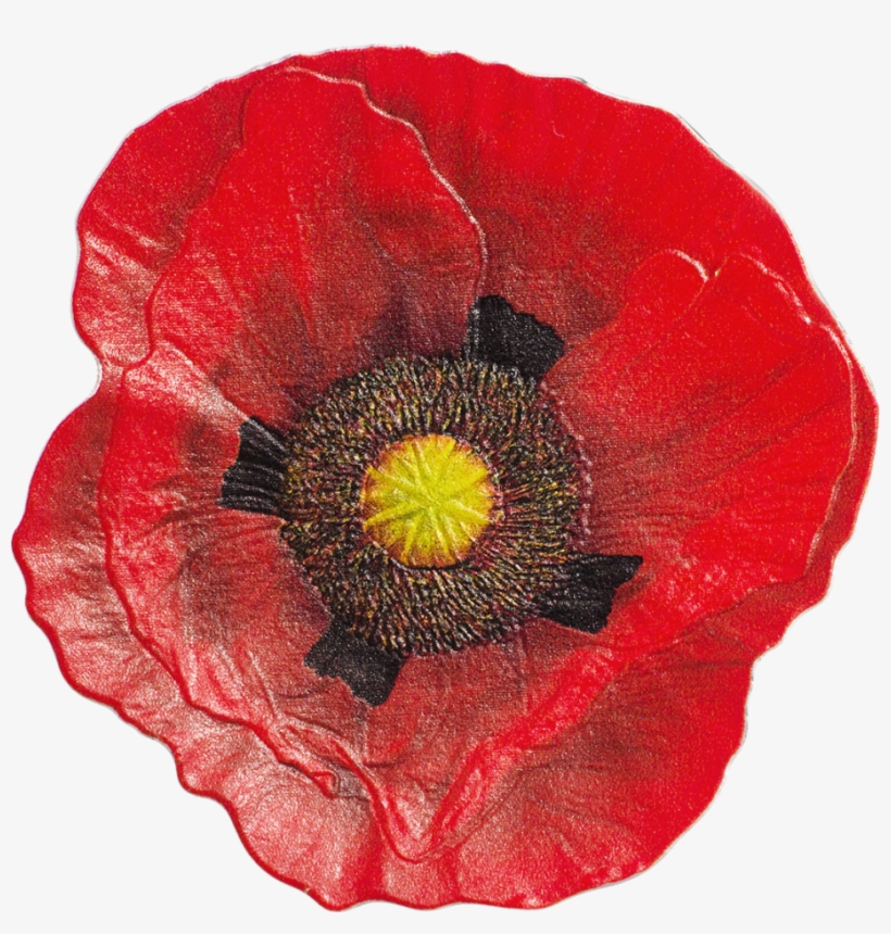 Download Transparent Remembrance Poppy - 2017 Remembrance Poppy Colour ...