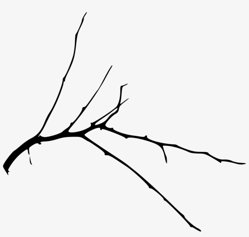 Free Png Simple Tree Branch Png Images Transparent - Portable Network ...