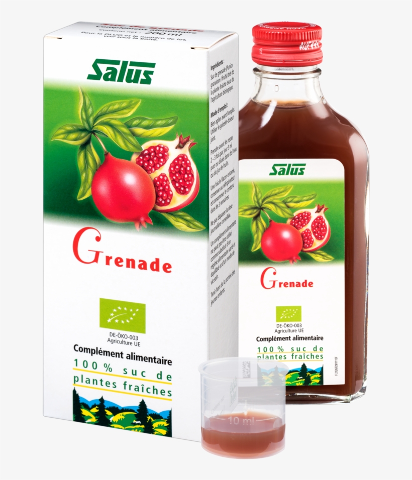 Floradix - 1000x1001 PNG Download - PNGkit