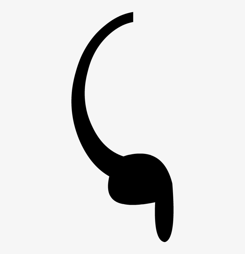 New Ii Pointing Arm - Bfdi New Ii Arm - 342x770 PNG Download - PNGkit