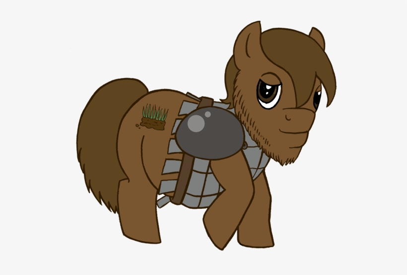 My Little Pony Clodin Brony Mlp Fim Fanart - Mlp Beard - 580x505 PNG ...