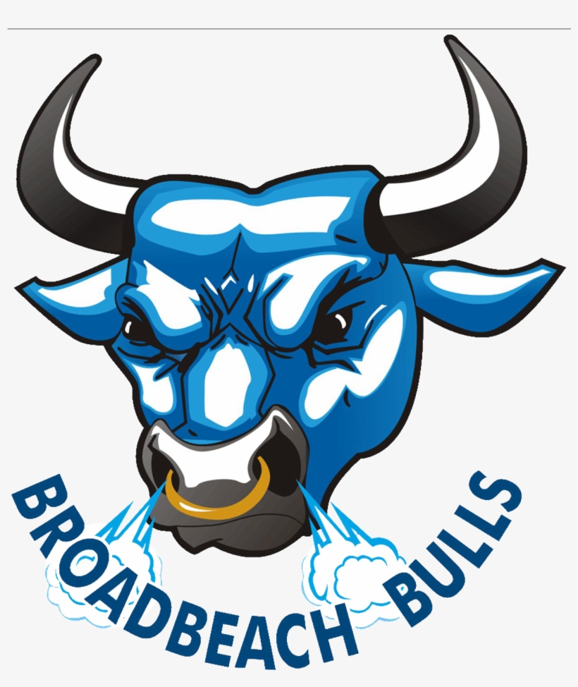 Bowlers Interstate And Overseas - Blue Bulls - 1228x1454 PNG Download ...