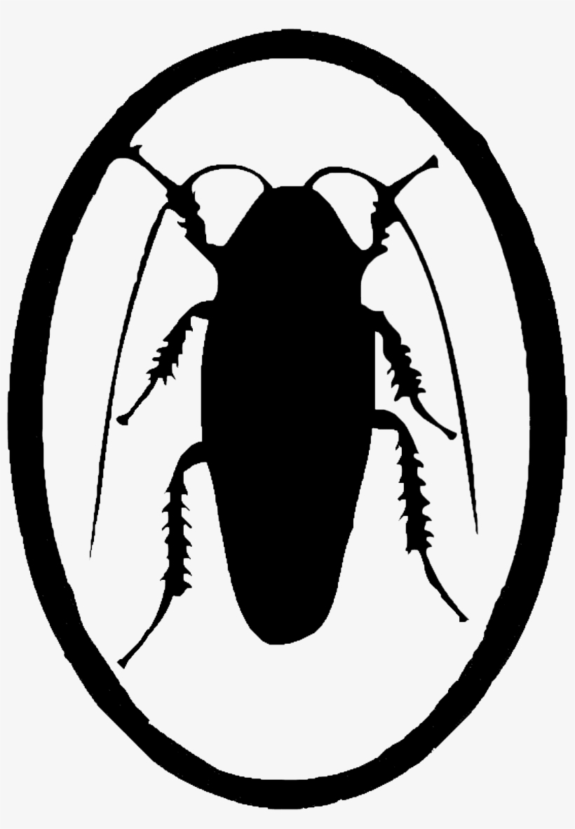 Butterfly And Cockroach - 1090x1518 PNG Download - PNGkit