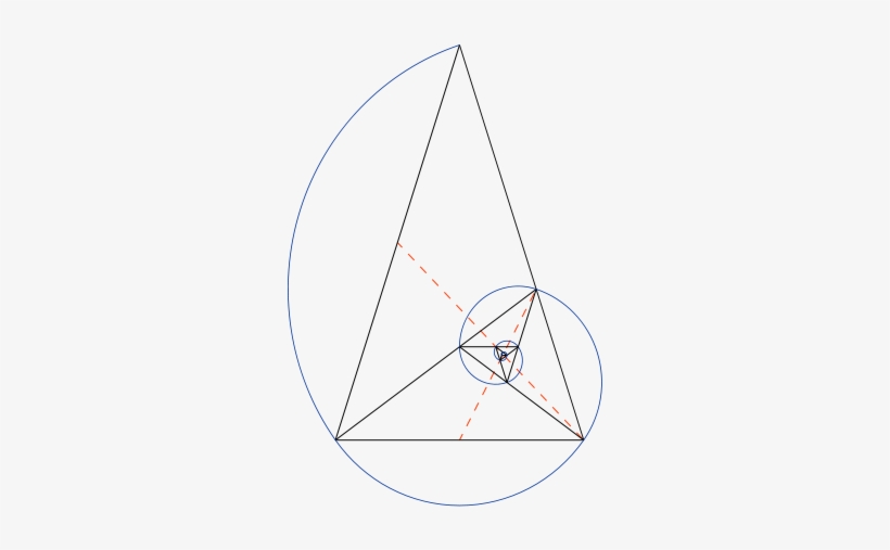 Fibonacci - Fibonacci Golden Triangle - 291x427 PNG Download - PNGkit