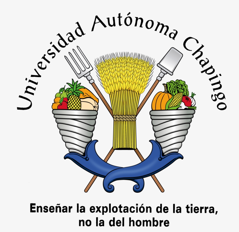 Logo Chapingo Sin Fondo - 2177x2264 PNG Download - PNGkit