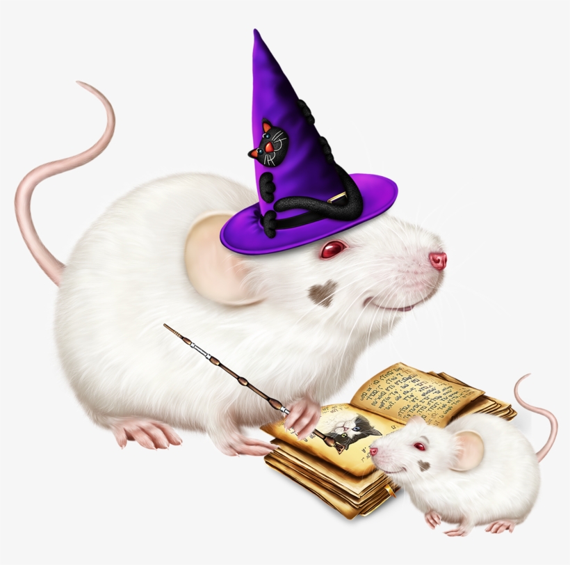 Hamster Clipart Forest Animal - Kangaroo Rat - 800x731 PNG Download ...