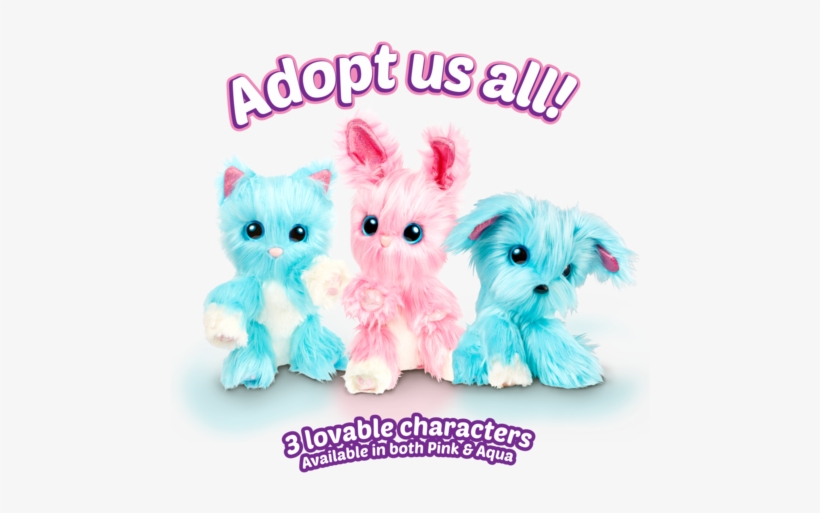 Adopt Us All - Scruff A Luvs - 480x480 PNG Download - PNGkit