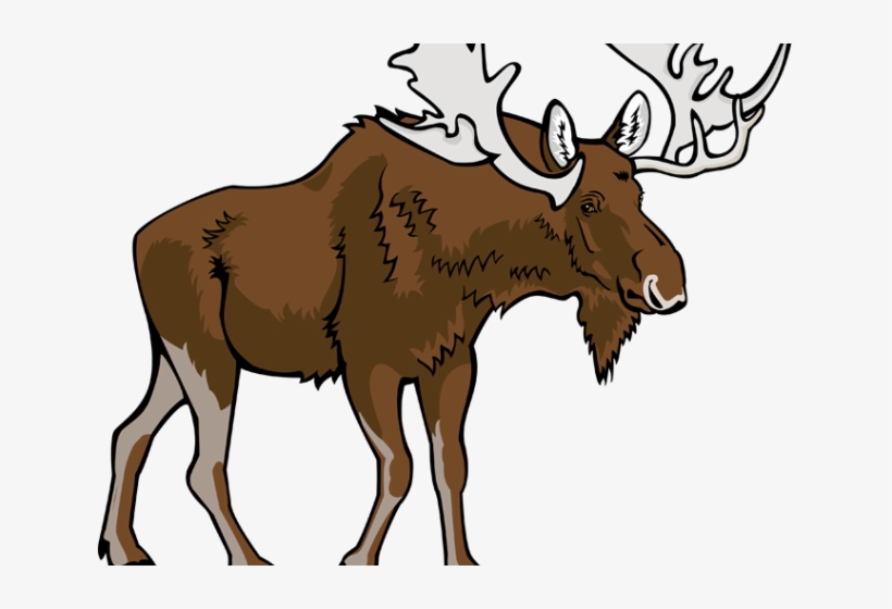 Moose Clipart Ski Lodge - Moose Clipart - 640x480 PNG Download - PNGkit