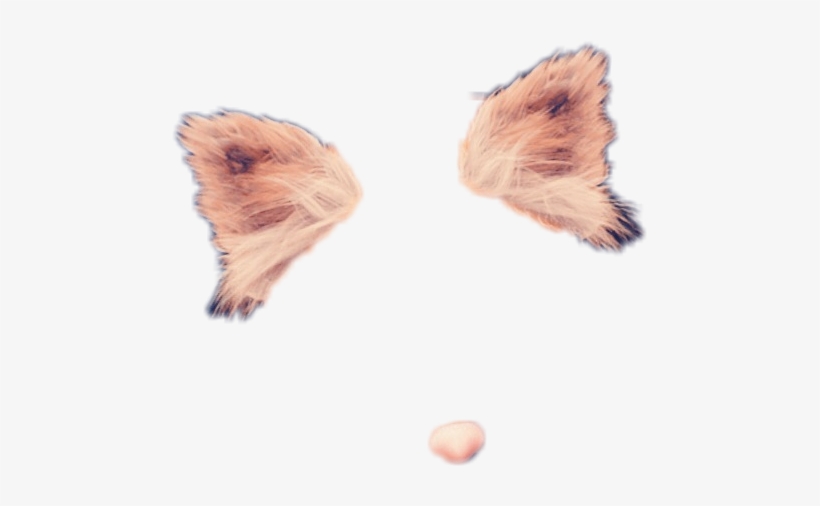 Download Transparent Wolf Dog Filter Snapchat Socialmedia Stickers ...