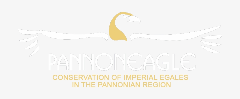 Follow The Further News Of The Imperial Eagles And - Mind, Reason And Imagination: Selected ...