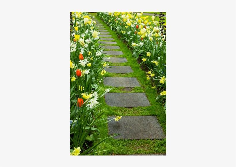 Garden Path Png Svg Freeuse - Pedras De Jardim Passeio - 450x500 PNG ...