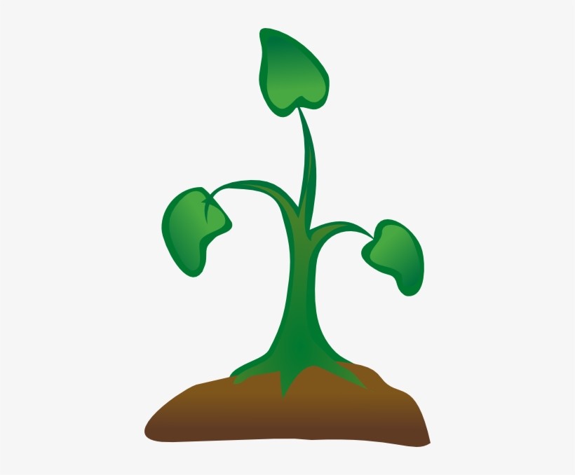 Seedling Clipart Sapling Cute Borders - Sapling Clipart Png - 408x598 ...