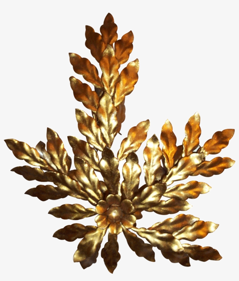 Oak Leaf - Tree - 1000x1000 PNG Download - PNGkit