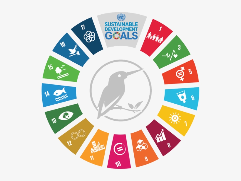 Sustainability Development Goals - Sustainable Development Goals Wheel ...