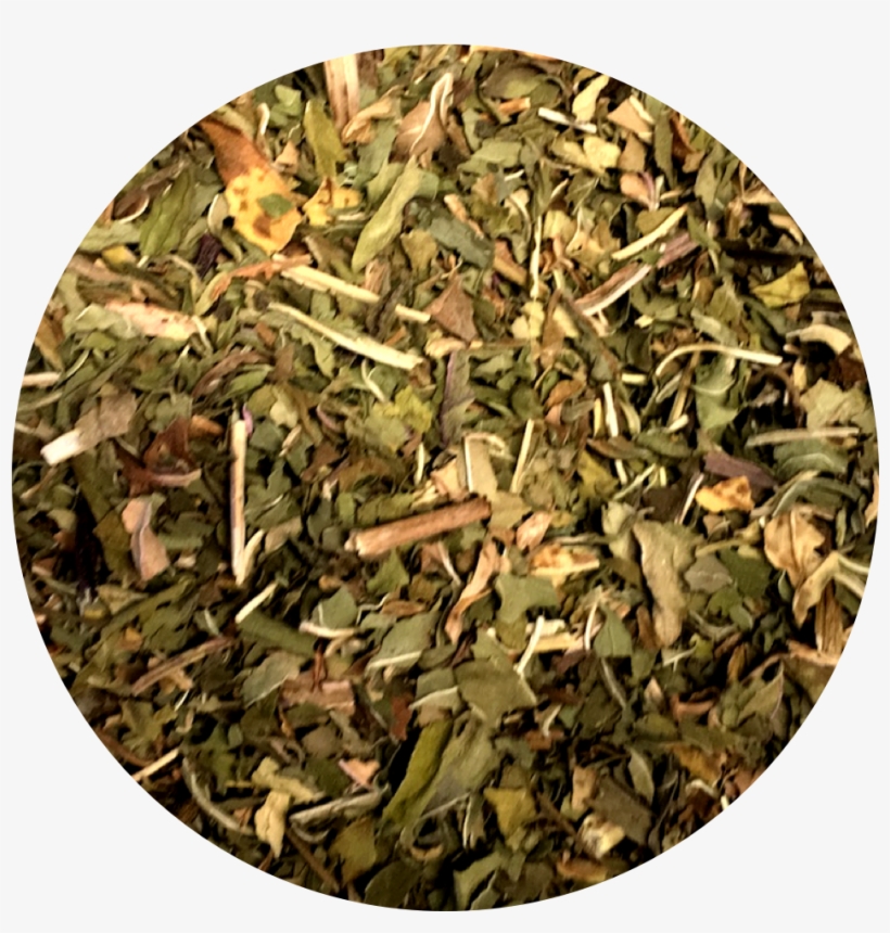 Peppermint - 1000x1000 PNG Download - PNGkit